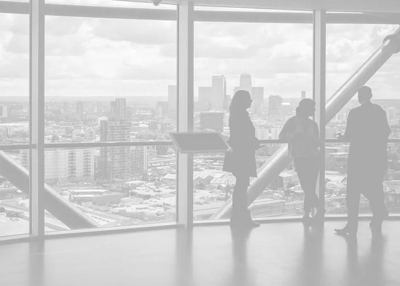 Harmony Strategies - Human Capital Risk Solutions